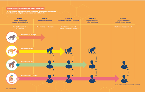 Les zoonoses : comment y faire front ? | Leem